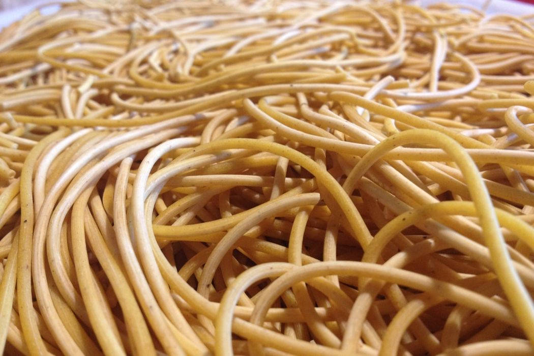 spaghetti frais de La ferme d'Alberte - Emilie GUILLON - local.bio
