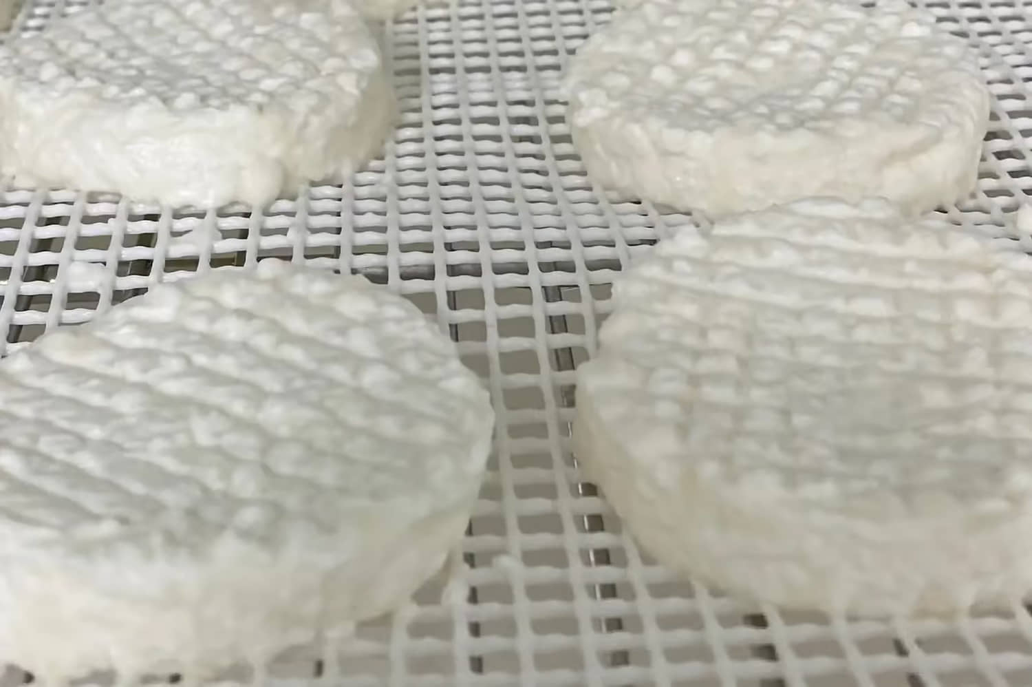 cabecou mapalou demi-frais lot de 5 de anne cothin gesta - local.bio