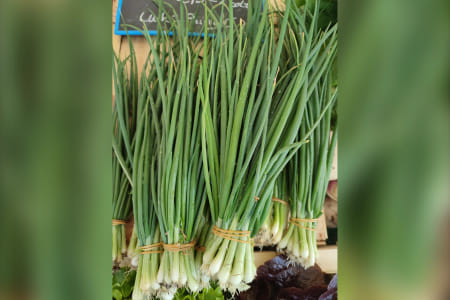 cebette botte de Nom d'une Ferme ! Brice Massé - local.bio